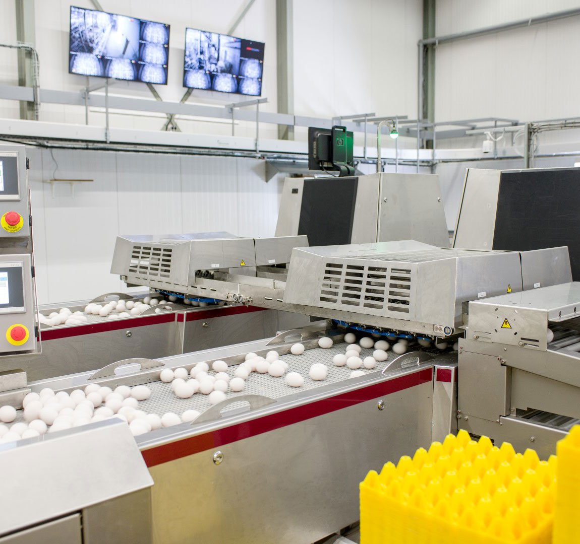 Meggsius Select - Vencomatic Group